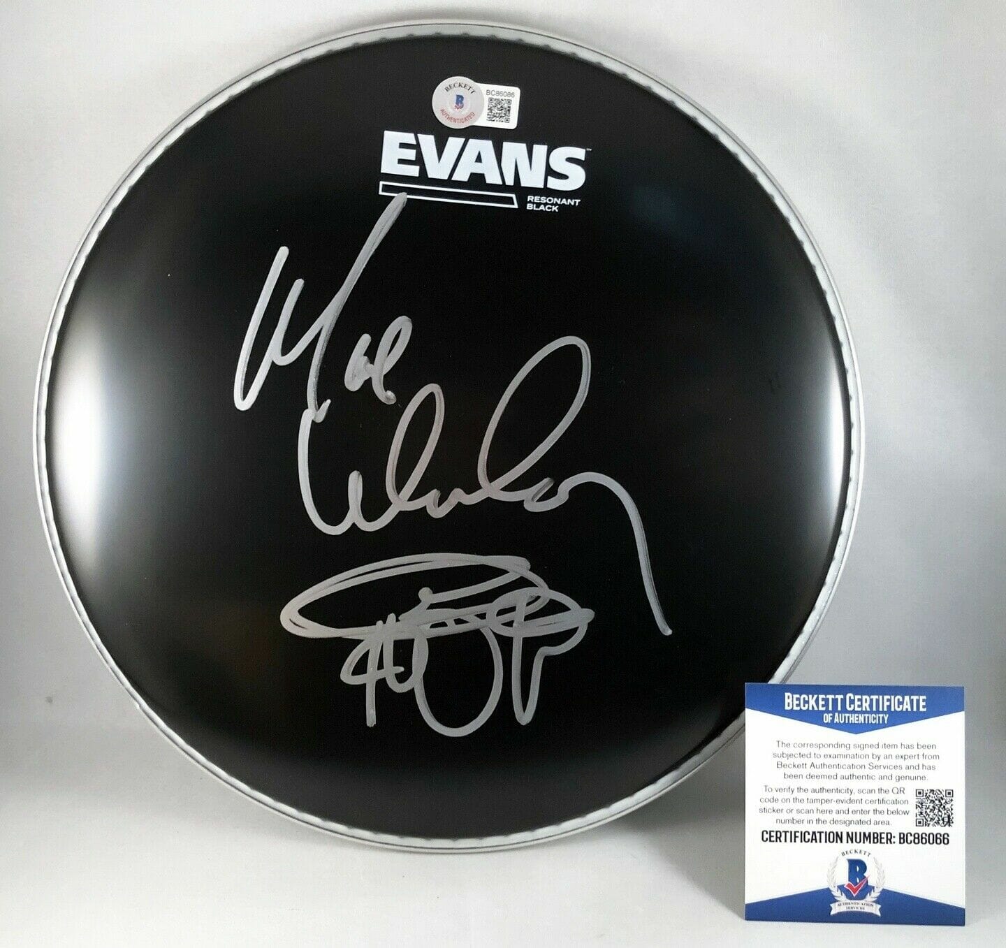 Max Weinberg Signed DrumHead Beckett BAS Bruce Springsteen and The E ... Max Weinberg Signed DrumHead Beckett BAS Bruce Springsteen and The E ...
