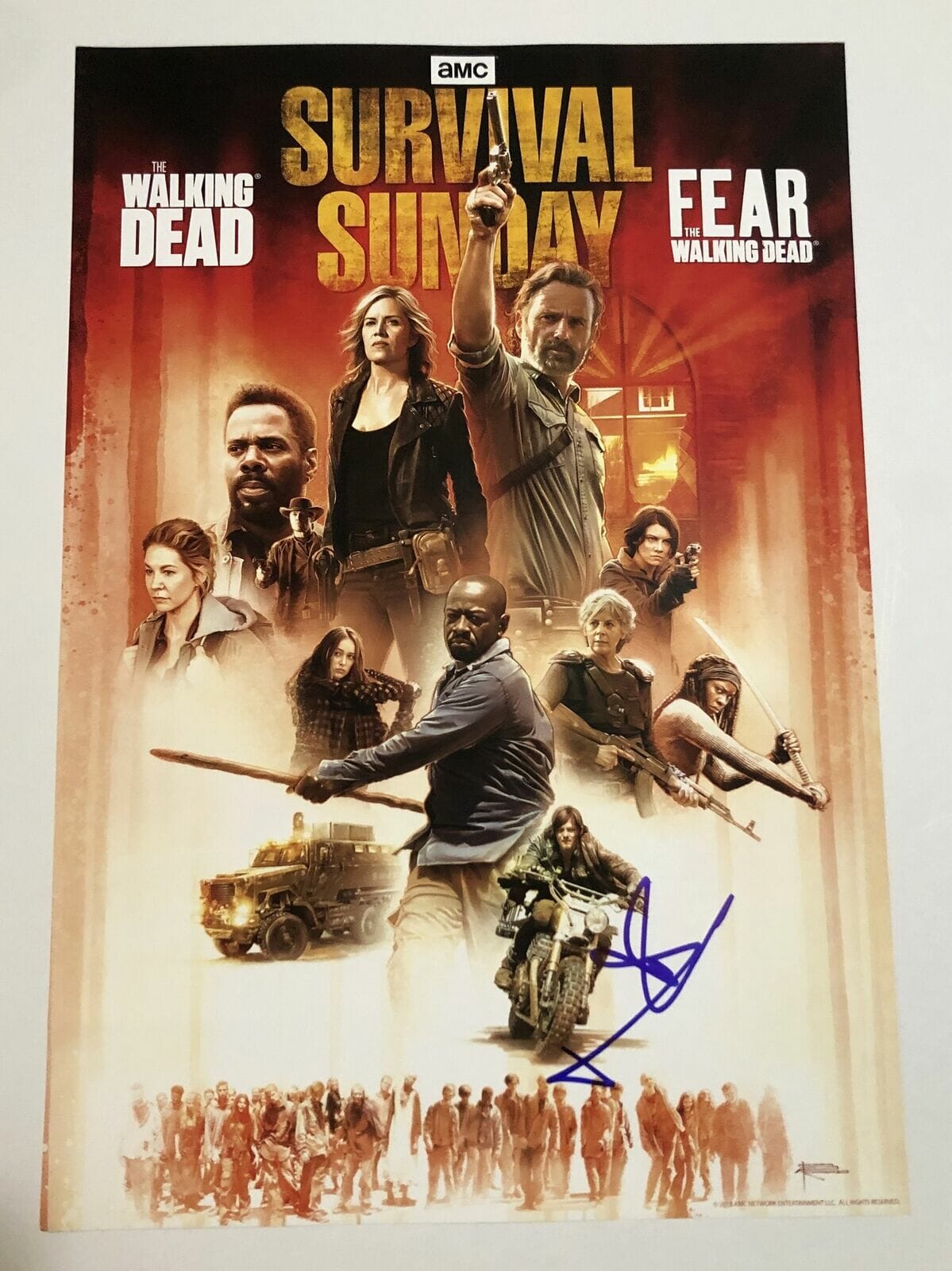 Norman Reedus Signed 13x19 Poster Daryl TWD The Walking Dead 3 COA ...