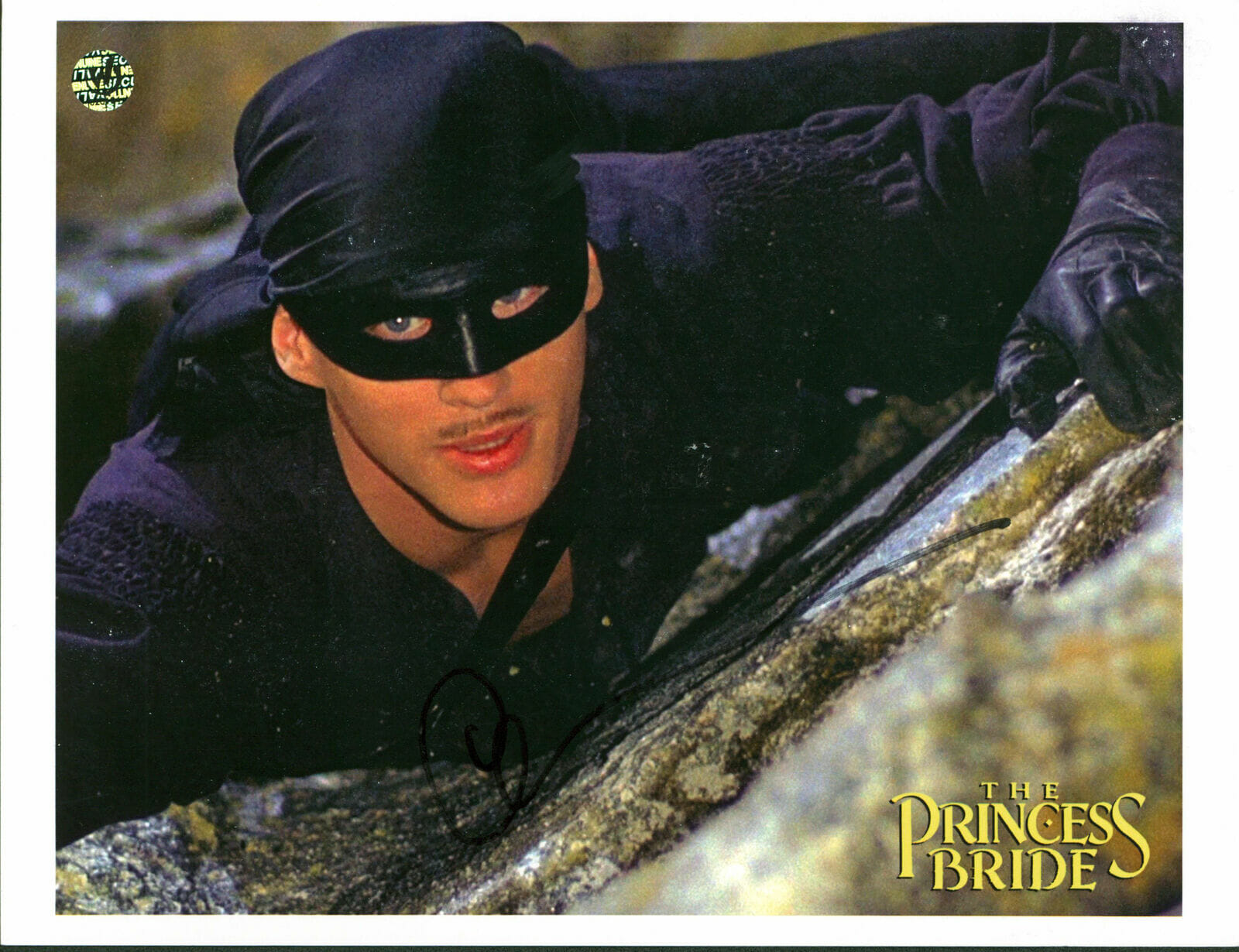Cary Elwes The Princess Bride Authentic Signed 8x10 Photo Wizard World ...