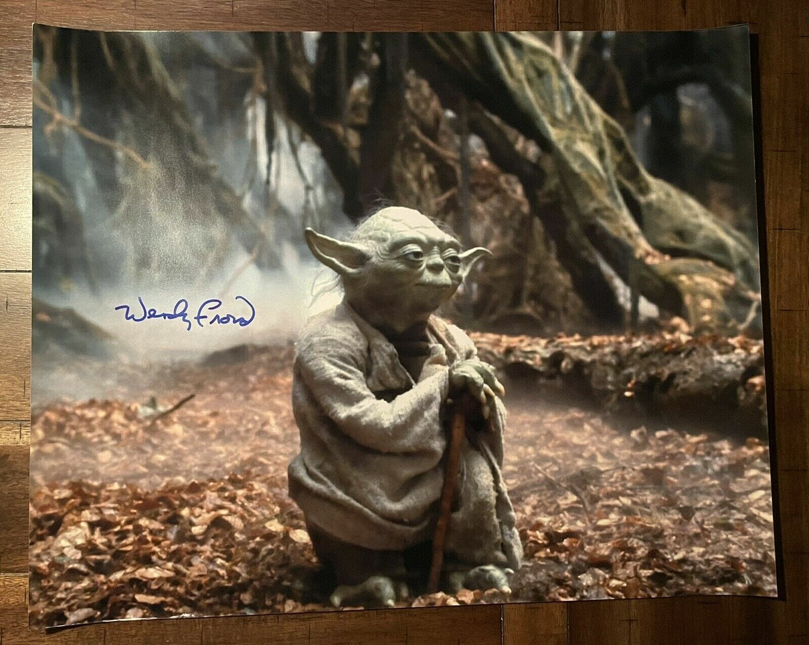 Wendy Froud - Star Wars ESB SIGNED YODA Puppeteer 16x20 K9 Coa - Proof ...