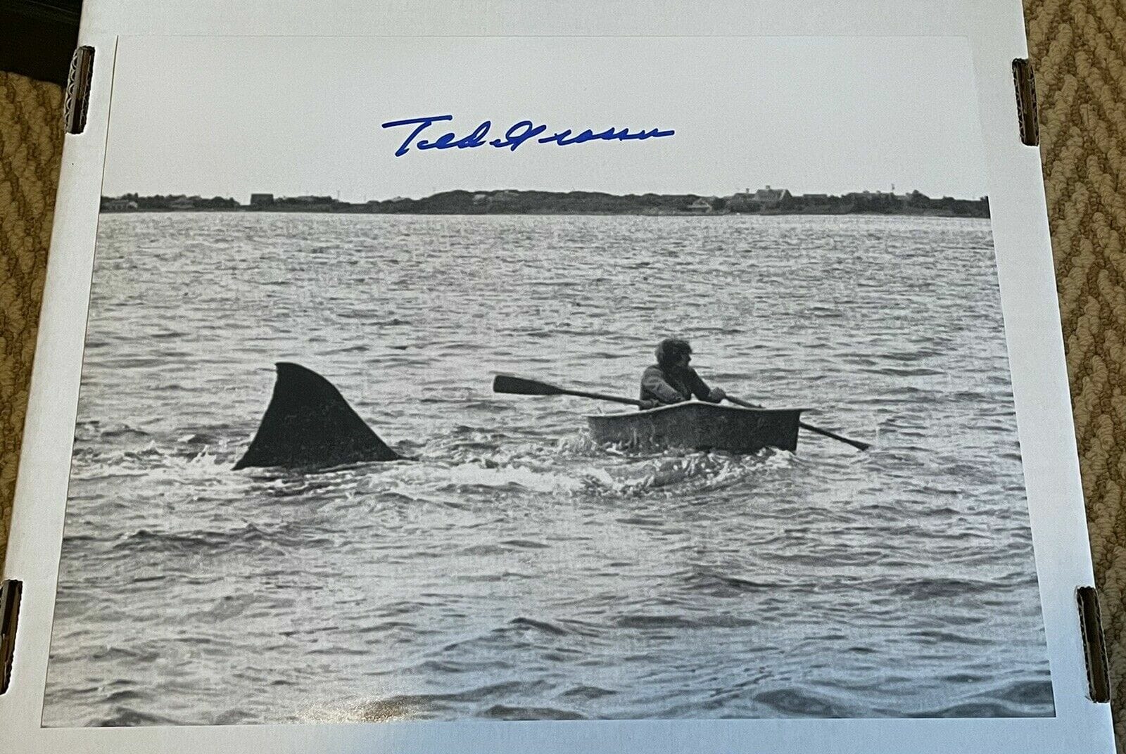 Ted Grossman Estuary Victim Jaws SIGNED Autograph 11x14 K9 COA w PROOF ...
