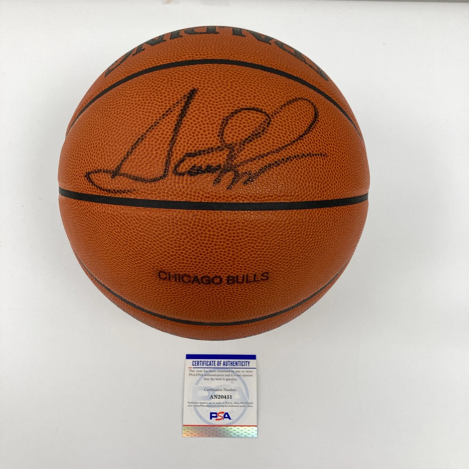 Scottie Pippen Signed Spalding Official NBA Game Issued Bulls ...