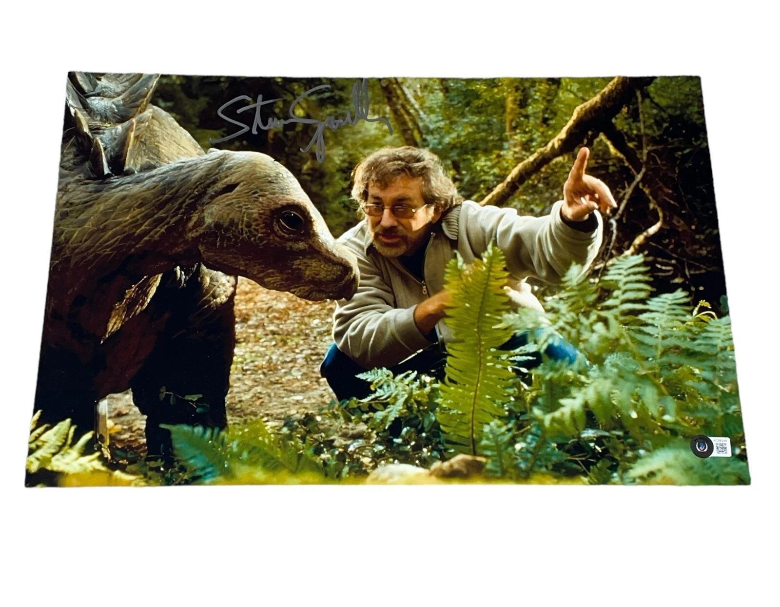 Steven Spielberg Signed Autograph 12x18 Photo Jurassic Park Beckett BAS ...
