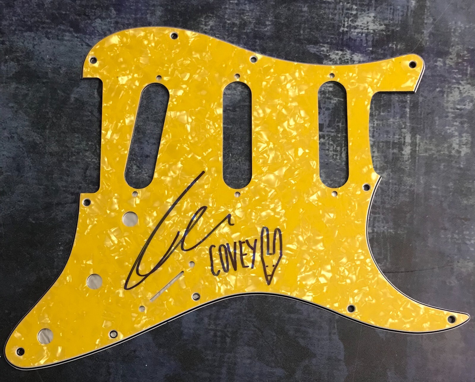 GFA Haggarty Bows * COVEY * Signed Electric Pickguard w/Sketch COA ...