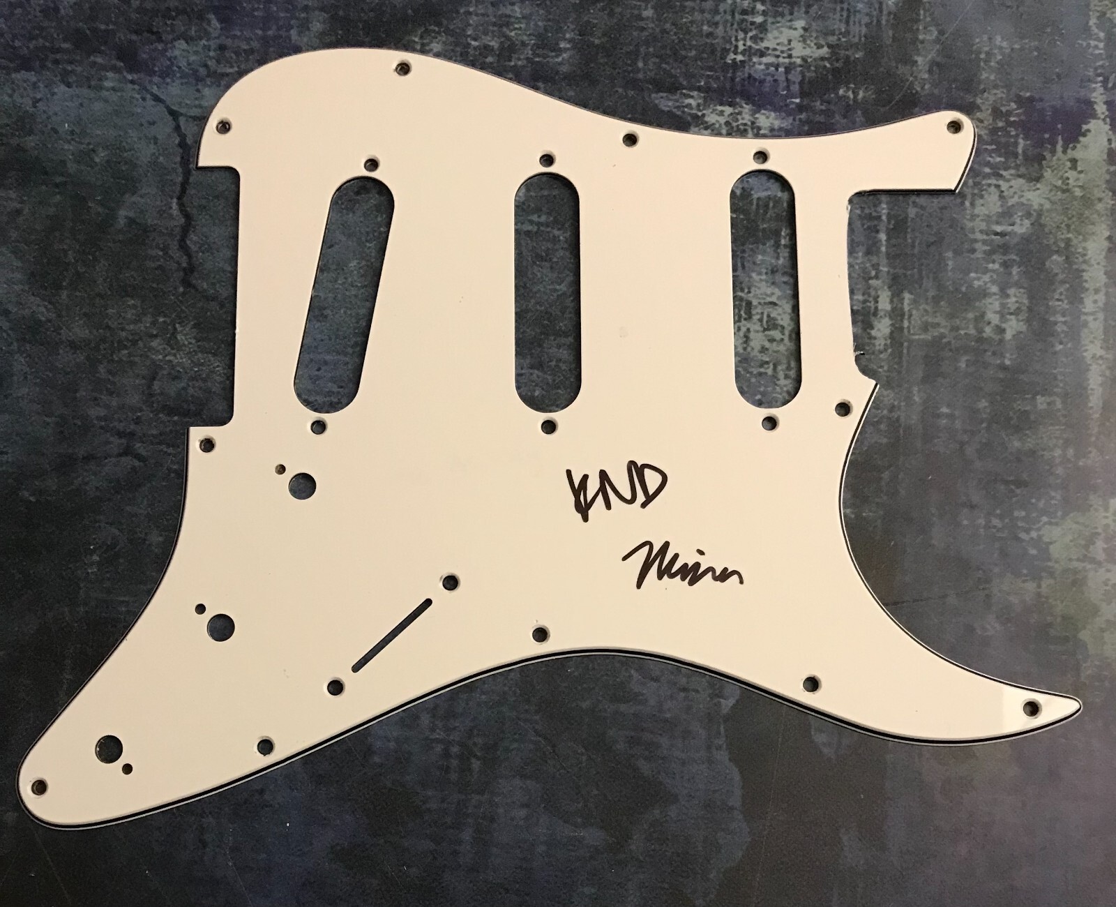 GFA Kelley Dugan & Mina Walker * DAISY THE GREAT * Signed Electric ...