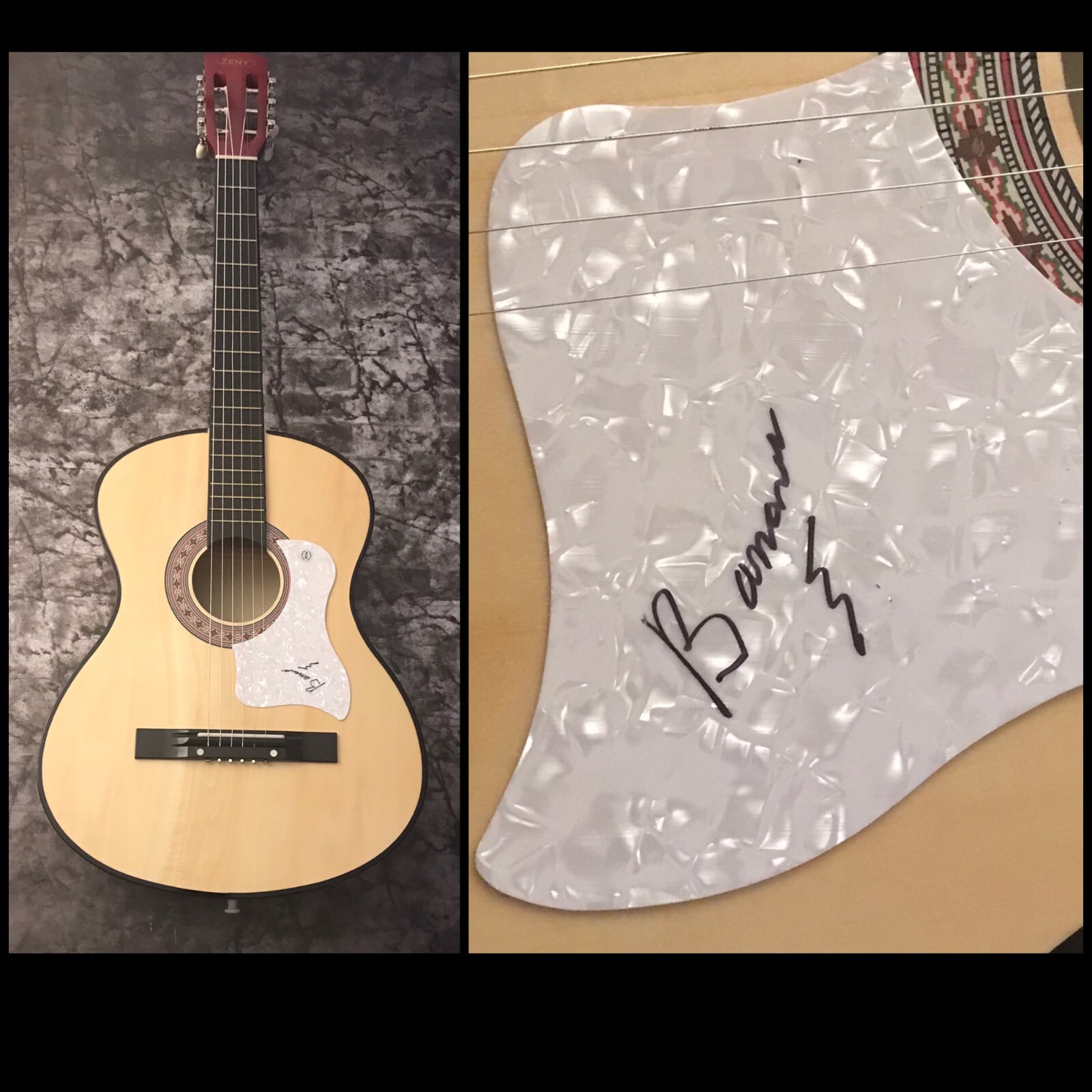 GFA Youngbloods Star LOWELL BANANA LEVINGER Signed Acoustic Guitar B3 ...