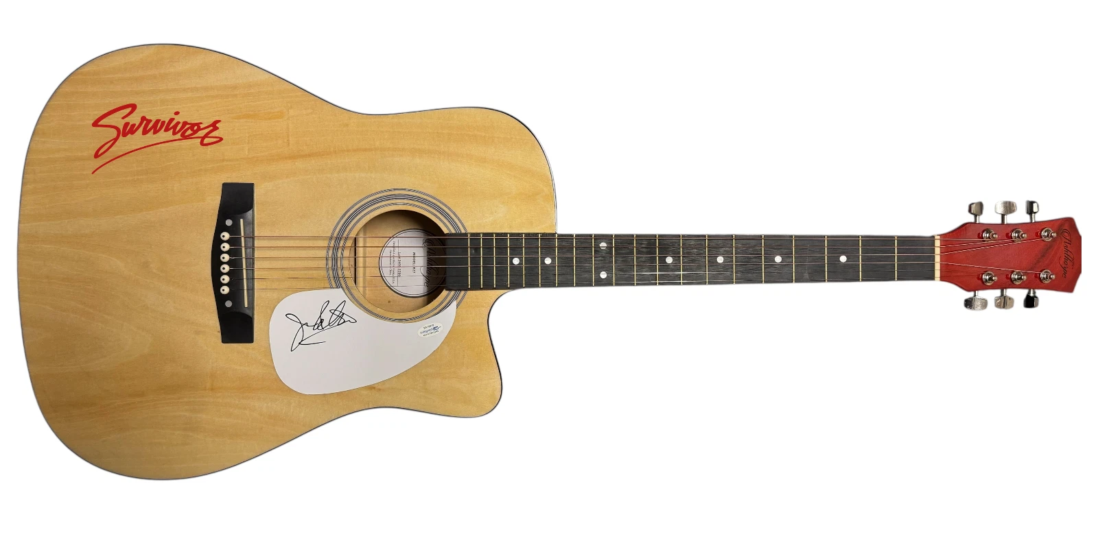 Jim Peterik Signed Survivor Eye of The Tiger 41" Acoustic Guitar Rocky ...