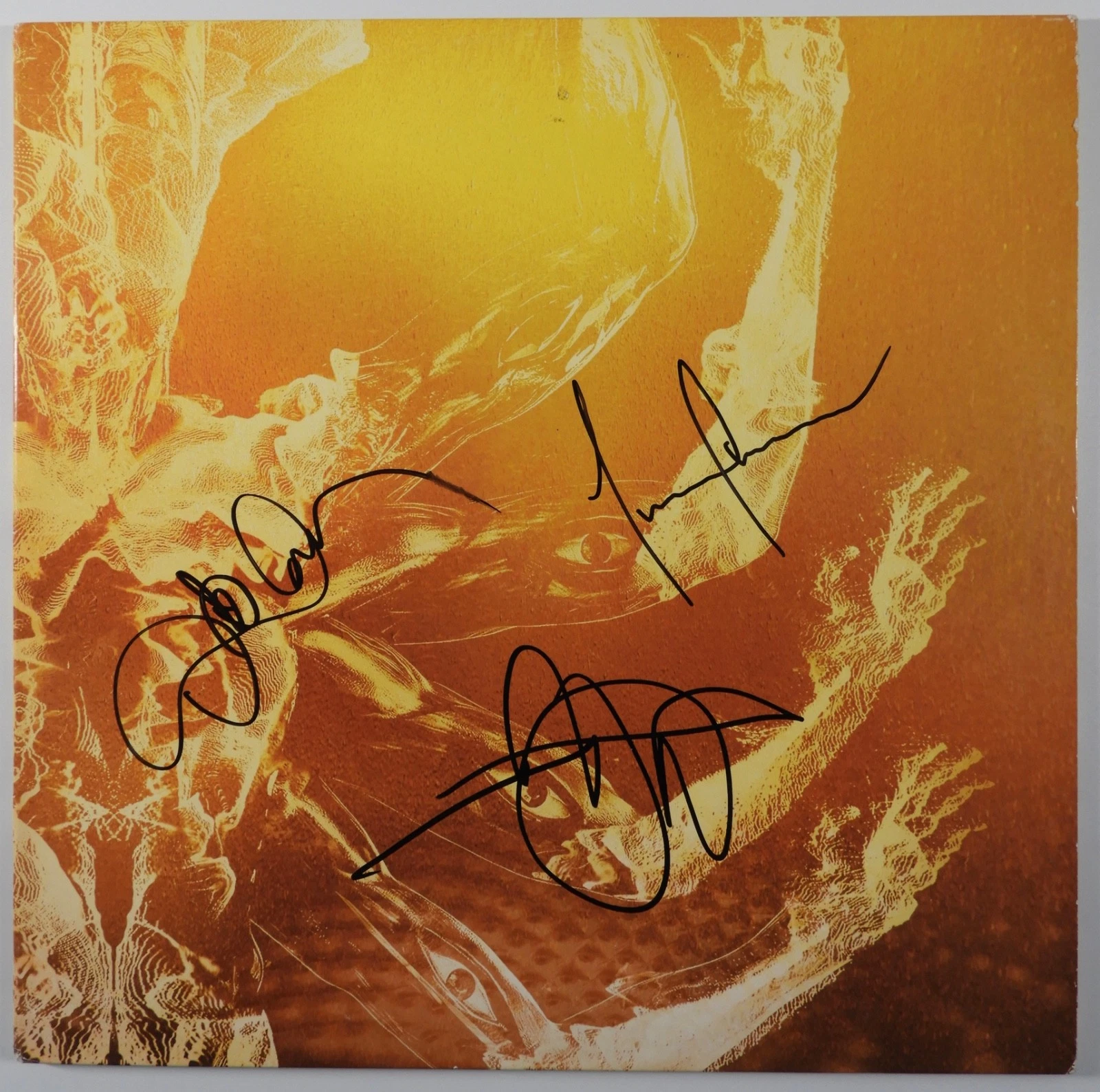 Tool ACOA Signed Autograph Record Vinyl Album Adam Jones + | Autographia