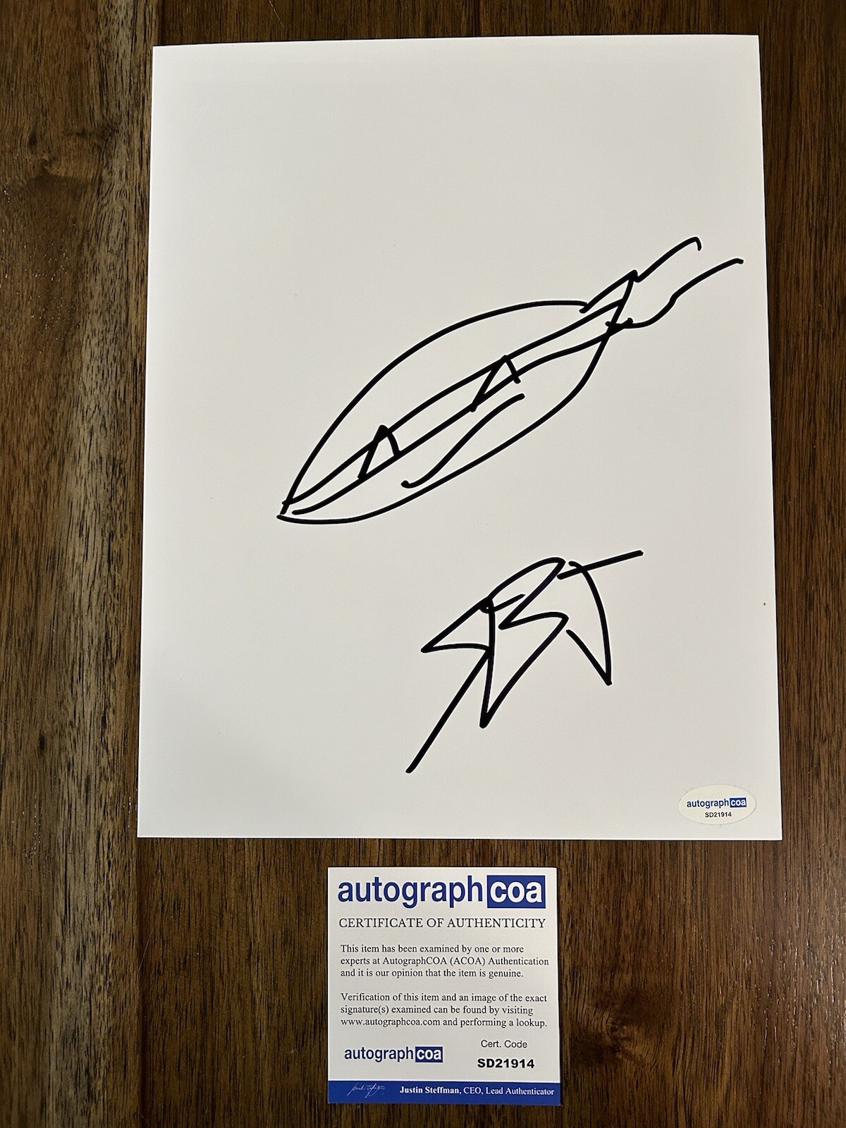 Shamon Brown Jr. ‘Teenage Mutant Ninja Turtles’ Signed Sketch ACOA TMNT ...