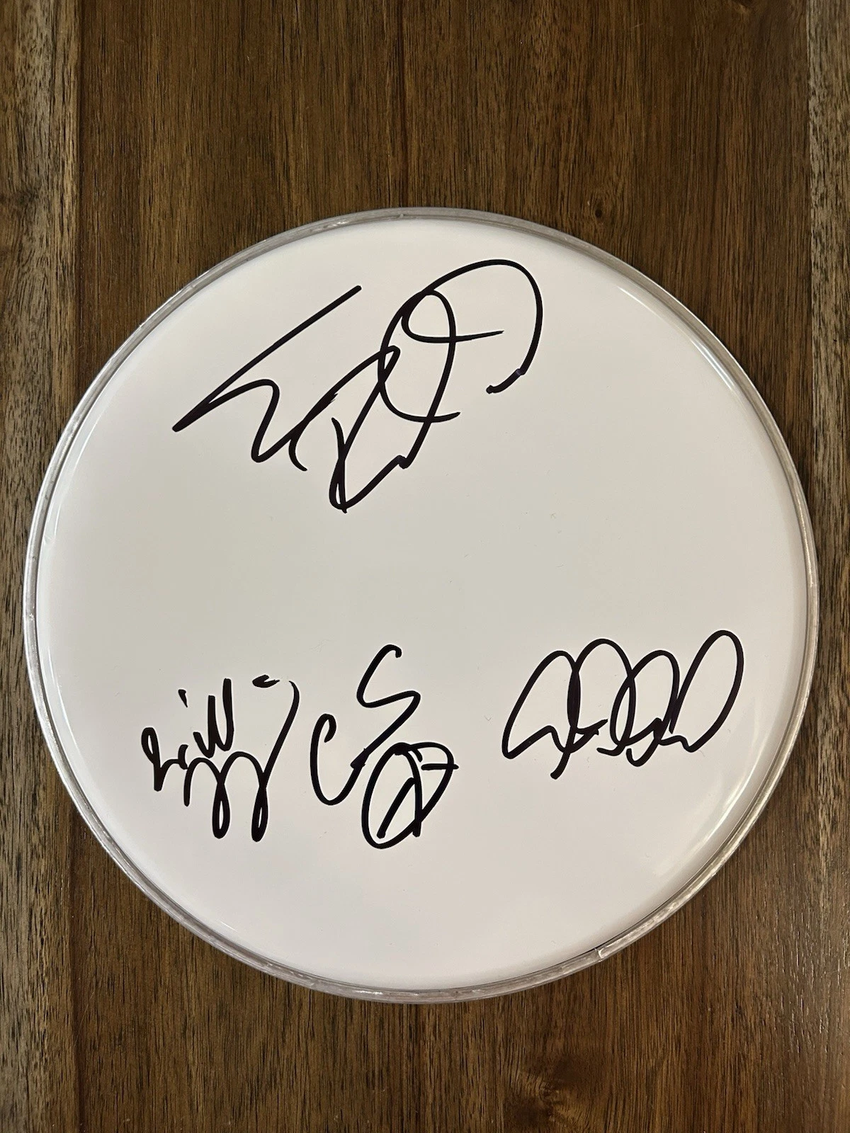 ‘Collective Soul’ Band Signed 10” White Drumhead Ed Roland, Dean & Will ...