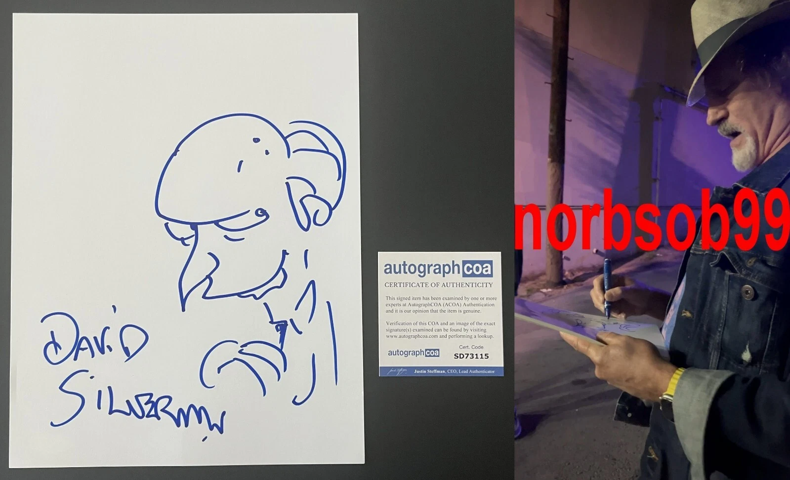 DAVID SILVERMAN SIGNED THE SIMPSONS SKETCH A w/EXACT PROOF & AUTOGRAPH ...
