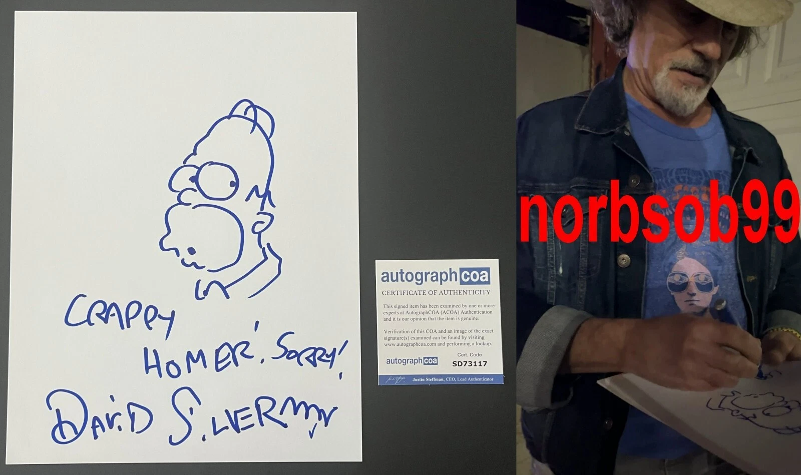 DAVID SILVERMAN SIGNED THE SIMPSONS SKETCH C w/EXACT PROOF & AUTOGRAPH ...