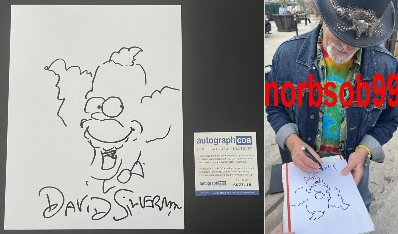 DAVID SILVERMAN SIGNED THE SIMPSONS SKETCH D w/EXACT PROOF & AUTOGRAPH ...