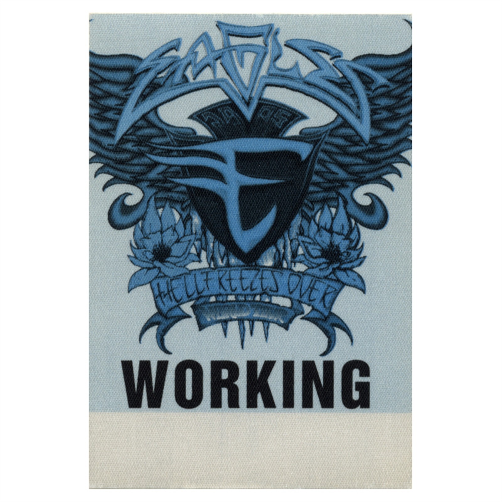 The Eagles 1994 Hell Freezes Over Concert Tour Working Backstage Pass ...