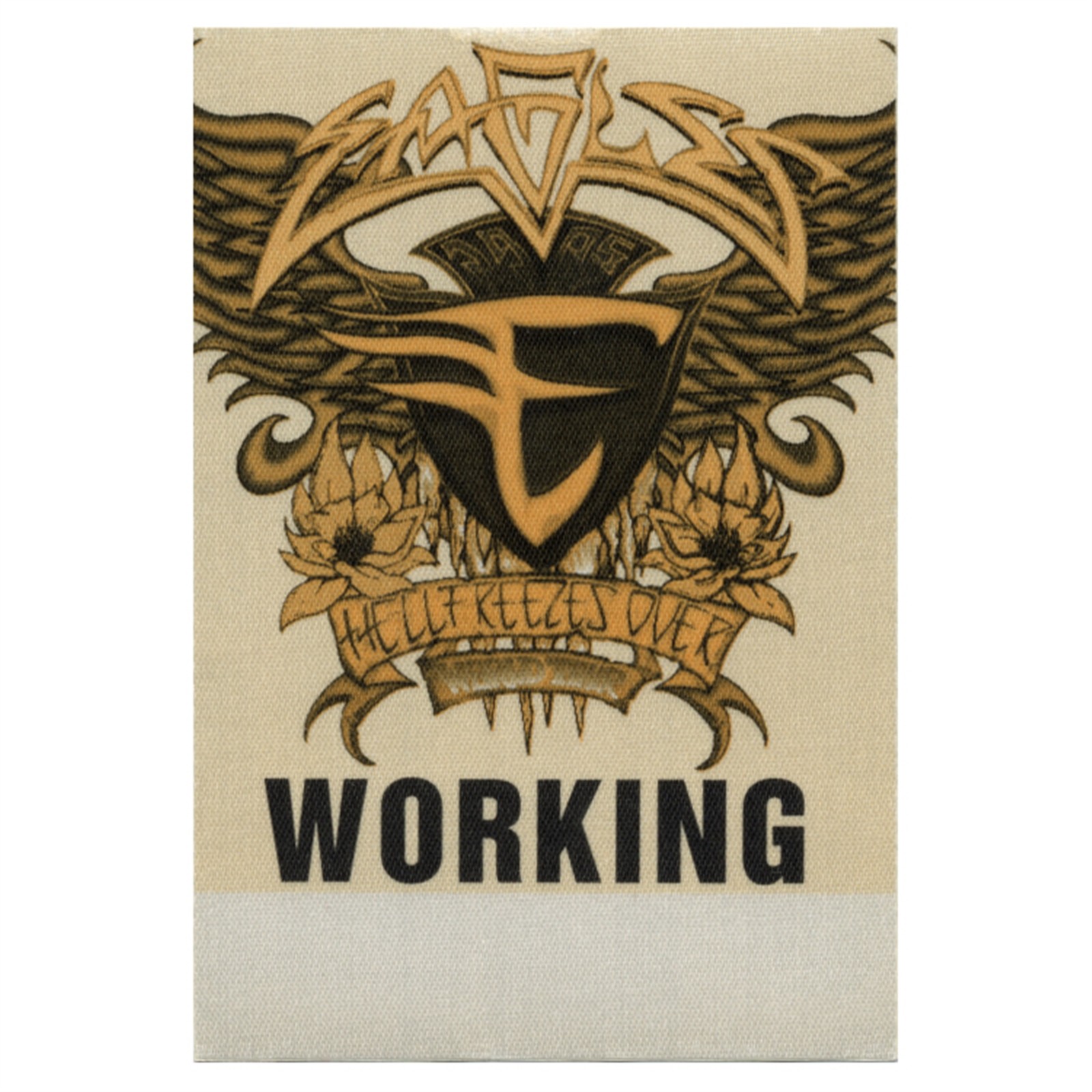 The Eagles 1994 Hell Freezes Over Concert Tour Working Backstage Pass ...