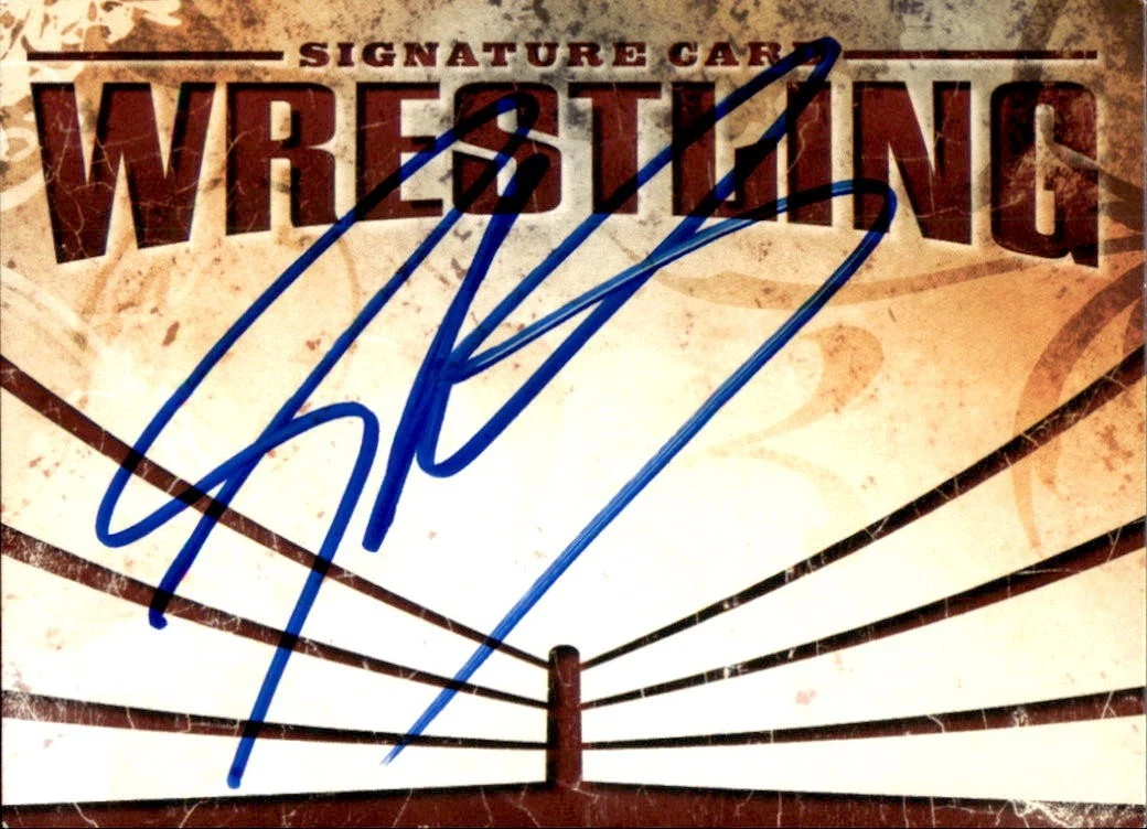Sheamus Signed WWE Wrestling Signature Autograph Card WWF NXT NWA TNA ...