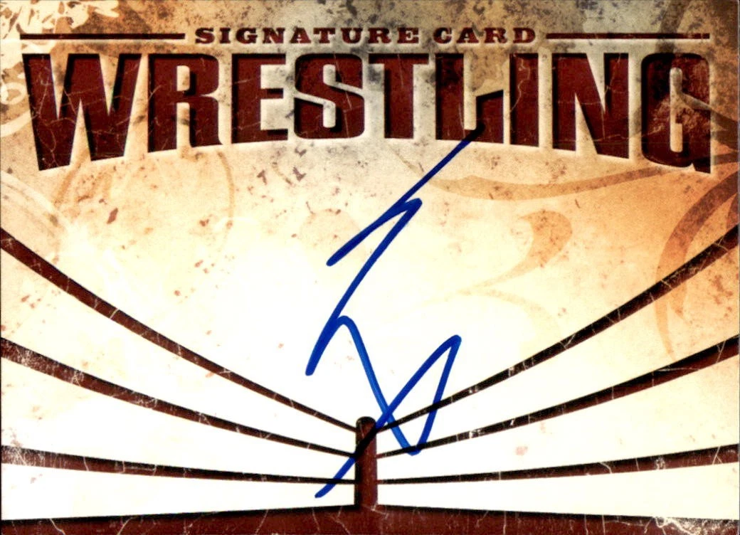 Iyo Sky Signed WWE Wrestling Signature Autograph Card WWF NXT NWA TNA ...
