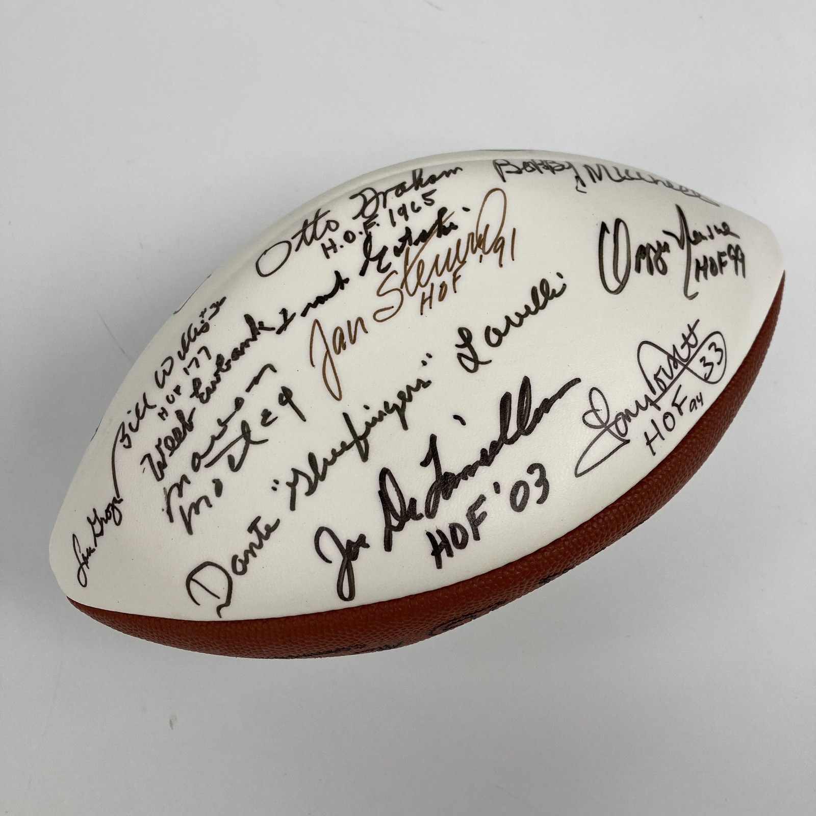 Hall Of Fame Multi Signed NFL Wilson Football 32 Signatures | Autographia