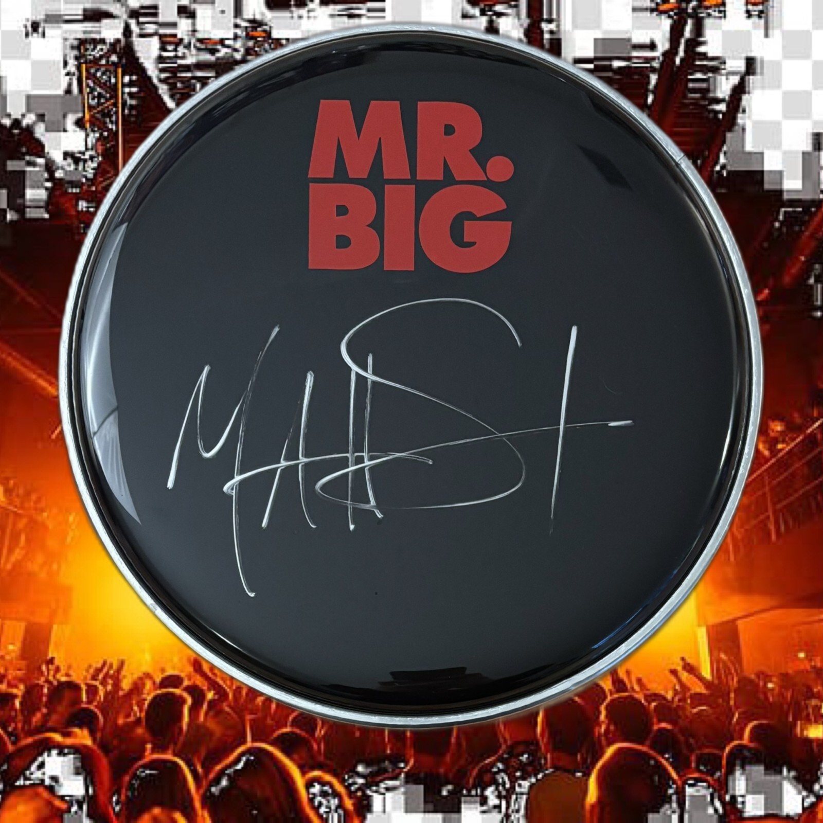 GFA Mr. Big Band Drummer * MATT STARR * Firmato Nuovo 10" Testa Di ...