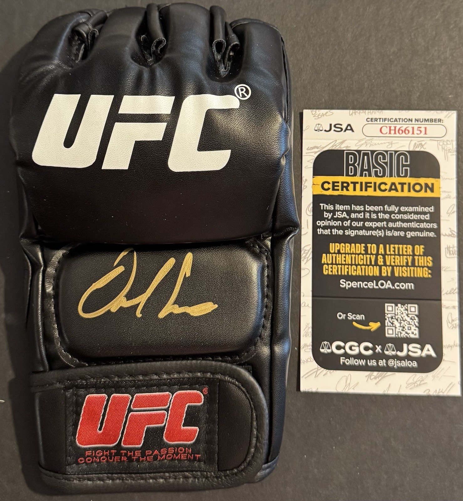 Derrick Lewis Signed Autographed UFC Fight Glove JSA COA | Autographia