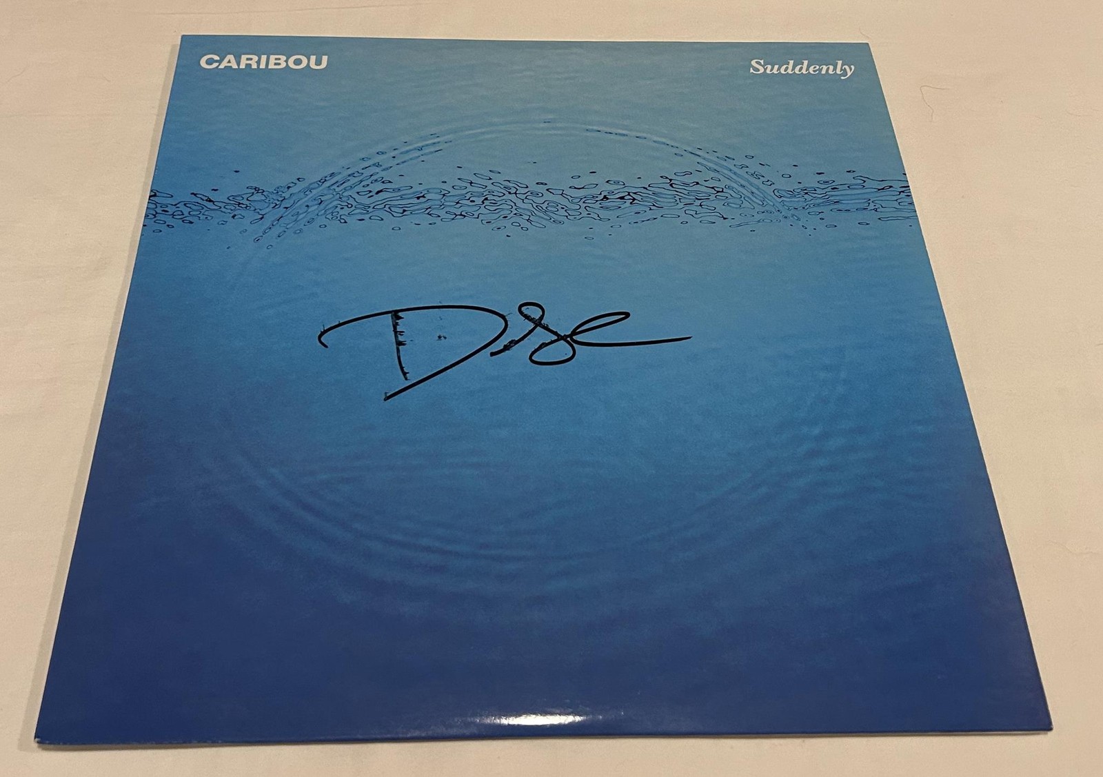 CARIBOU DAN SNAITH SIGNED SUDDENLY VINYL RECORD JSA | Autographia