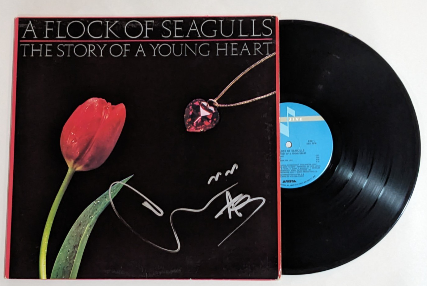 Mike Score of A Flock of Seagulls SIGNED The Story Of A Young Heart ...