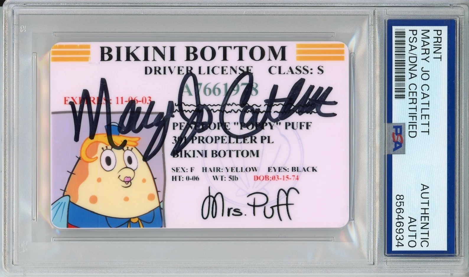 SPONGEBOB SQUAREPANTS MRS PUFF DRIVERS LICENSE SIGNED by MARY JO CATLETT PSA DNA | Autographia