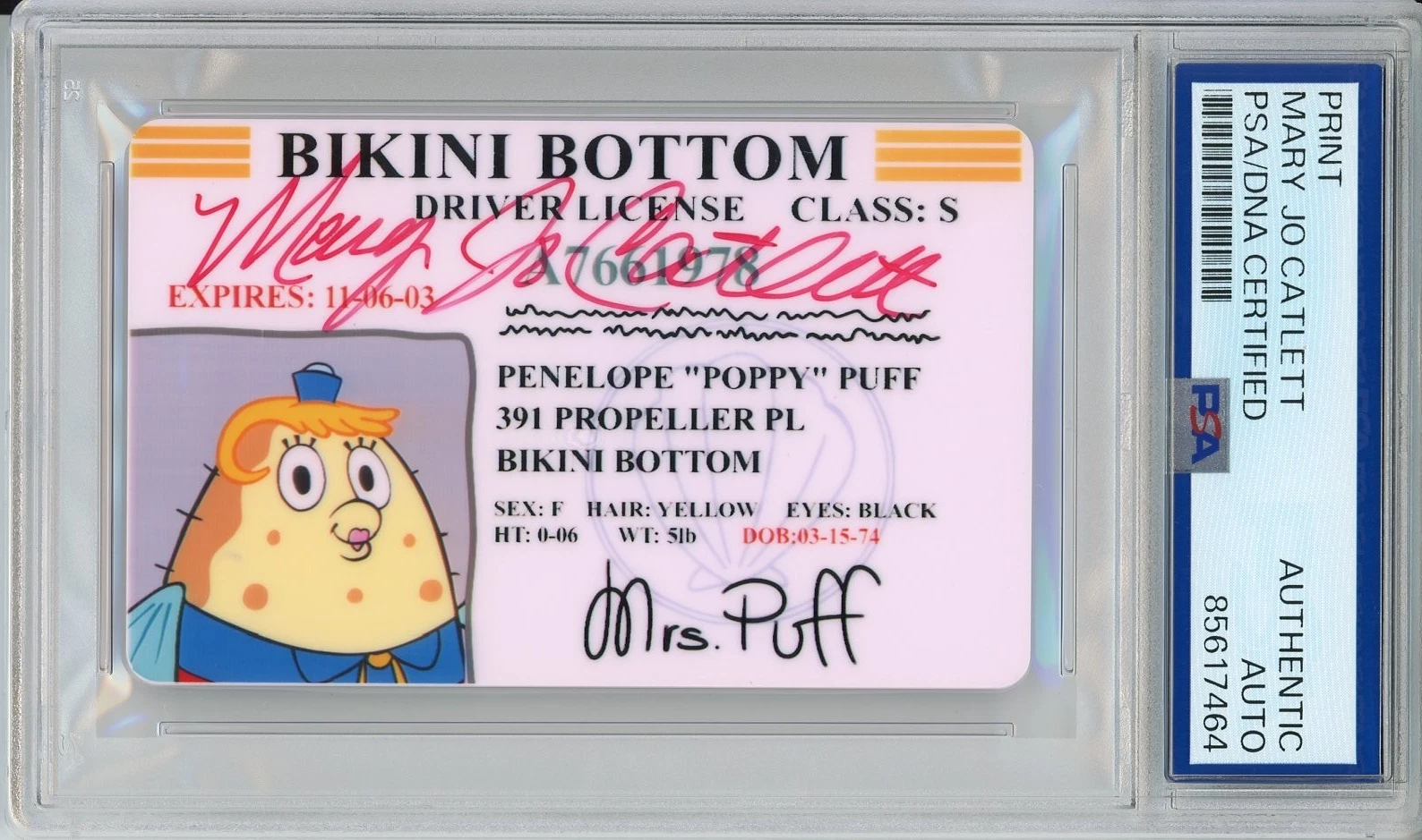SPONGEBOB SQUAREPANTS MRS PUFF BIKINI LICENSE SIGNED MARY JO CATLETT ...