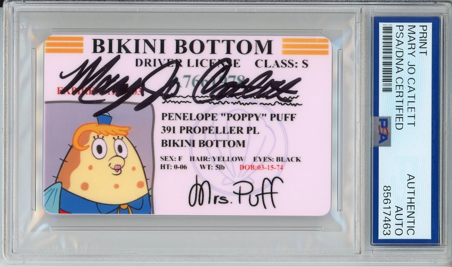 SPONGEBOB SQUAREPANTS MRS PUFF DRIVER LICENSE SIGNED MARY JO CATLETT ...