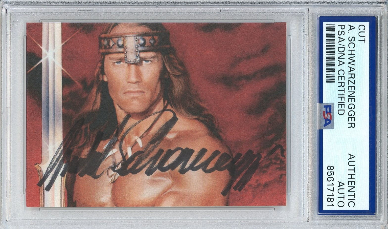 SIGNED Arnold Schwarzenegger Conan Barbarian Picture Cut PSA DNA COA ...