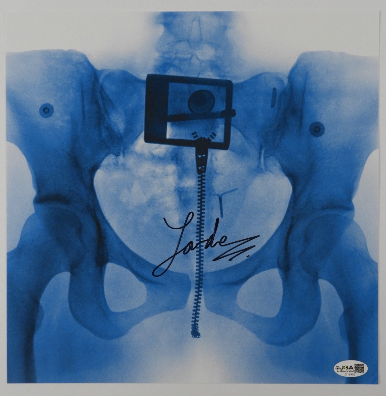 Lorde JSA Fully Signed Autograph Record Album Vinyl Insert Virgin ...