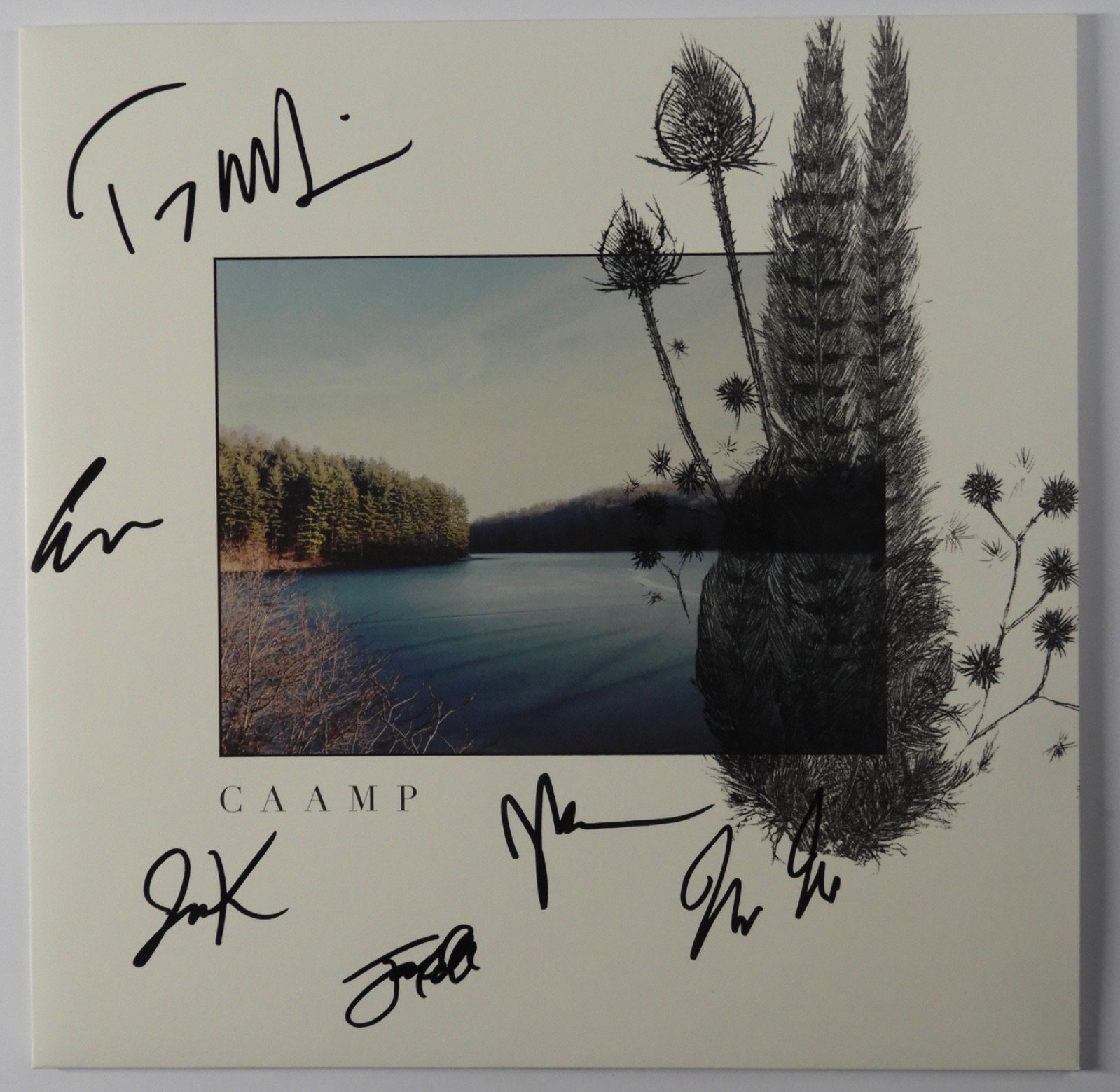 Caamp JSA FULLY Signed Autograph Record Album Vinyl Debut | Autographia