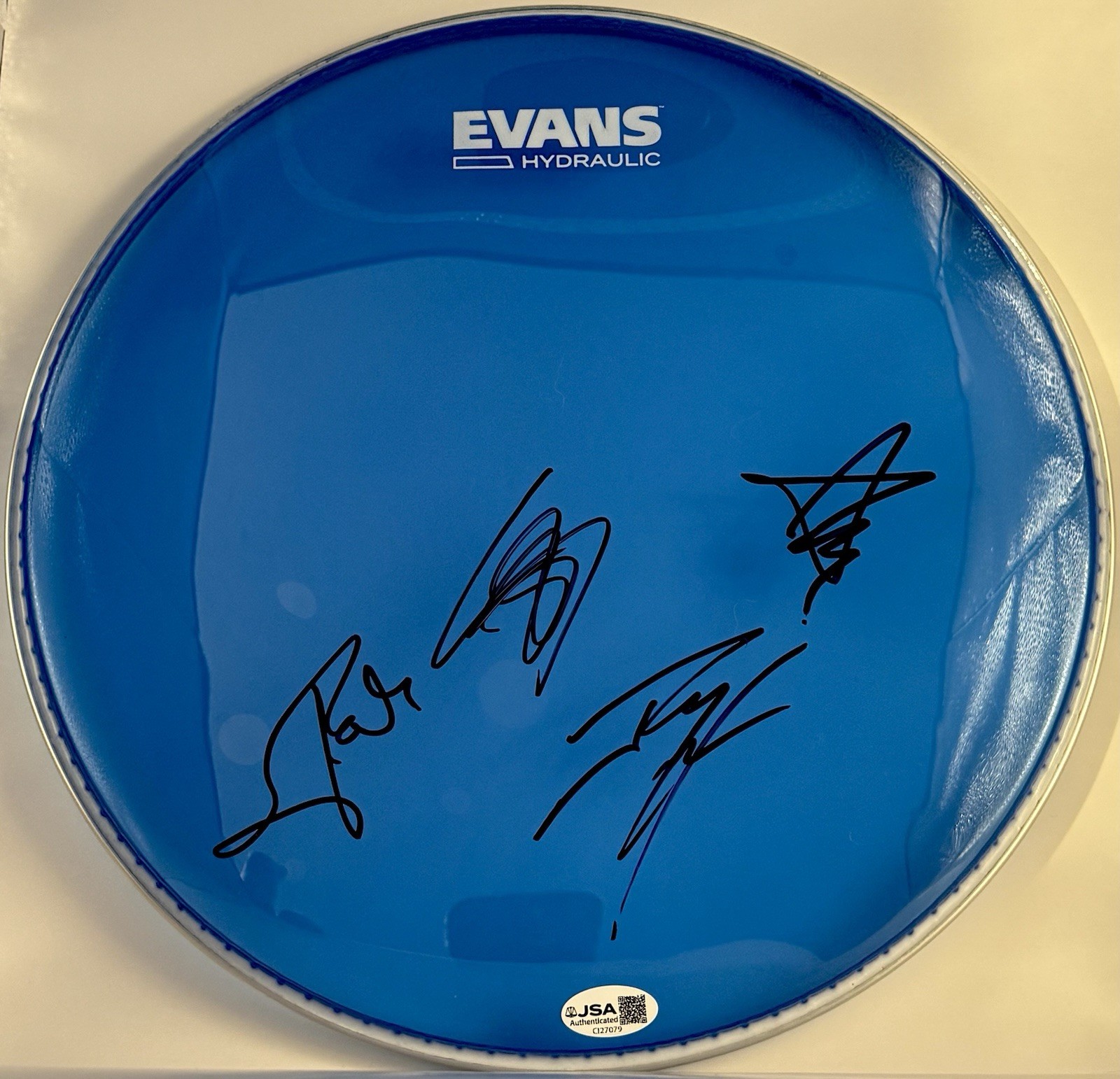 Halestorm Band Signed Autographed 12” Inch Drumhead Lzzy +3 JSA COA ...