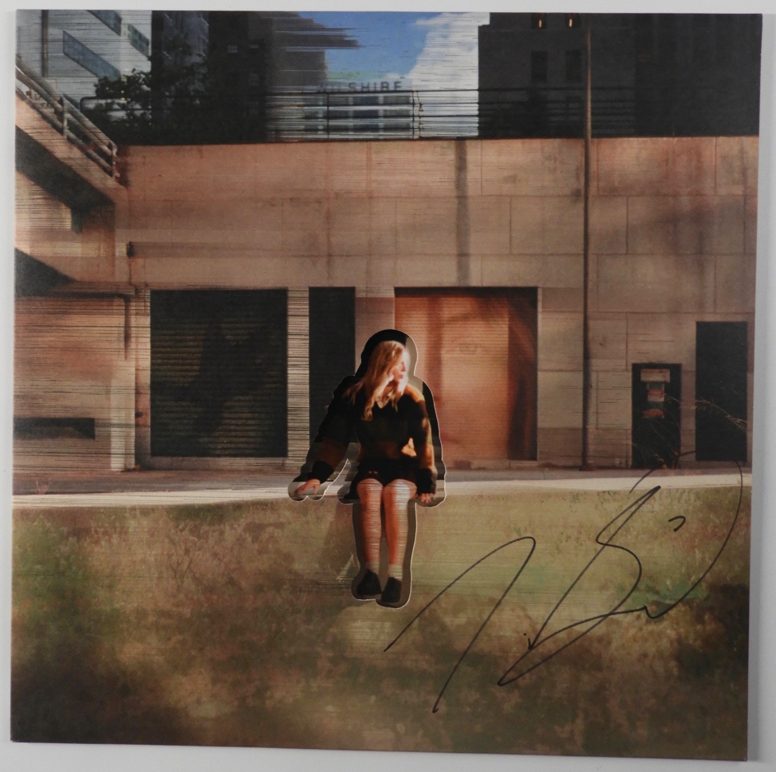 Jade Bird JSA Signed Autograph Record Album Vinyl Burn the Hard Drive ...