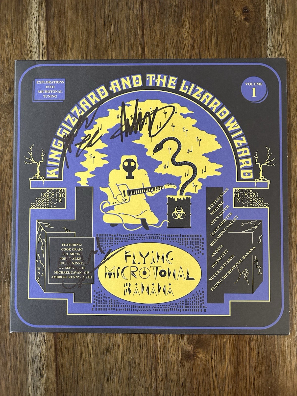 ‘King Gizzard & The Lizard Wizard’ Band Signed Flying Microtonal Vinyl ...