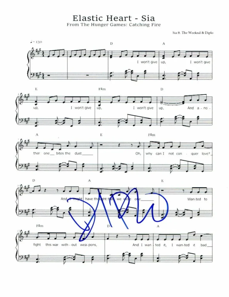 DIPLO SIGNED AUTOGRAPH "ELASTIC HEART" SHEET MUSIC - W/ SIA & THE ...