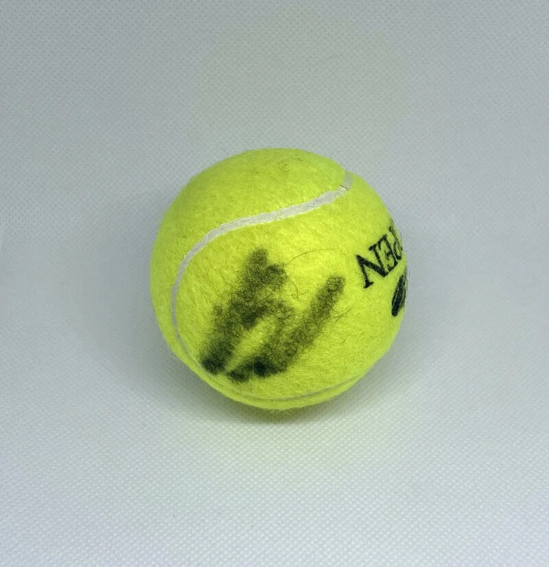 ANDY RODDICK SIGNED AUTOGRAPH TENNIS BALL - US OPEN CHAMPION, FORMER #1 ...