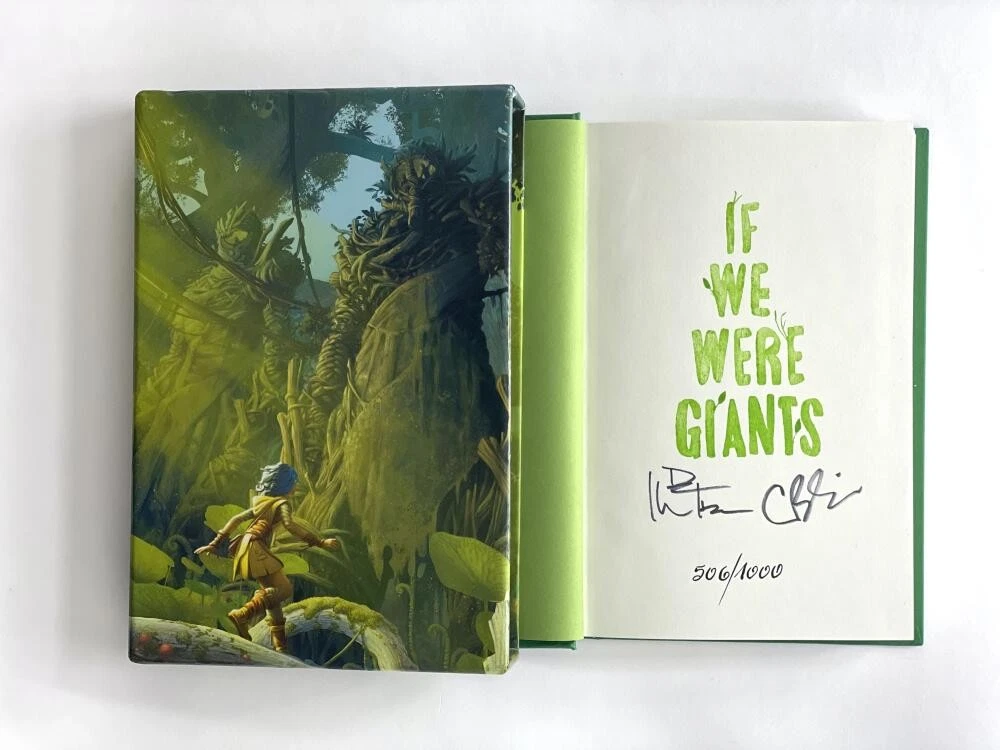 DAVE MATTHEWS SIGNED AUTOGRAPH "IF WE WERE GIANTS" LE BOOK - HAND #'D ...