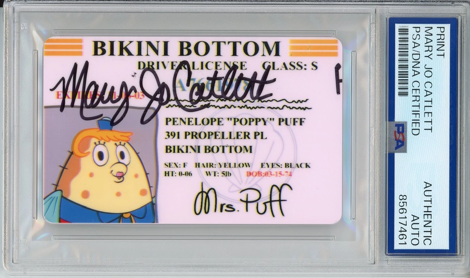 SPONGEBOB SQUAREPANTS MRS PUFF BIKINI BOTTOM SIGNED MARY JO CATLETT PSA DNA COA | Autographia