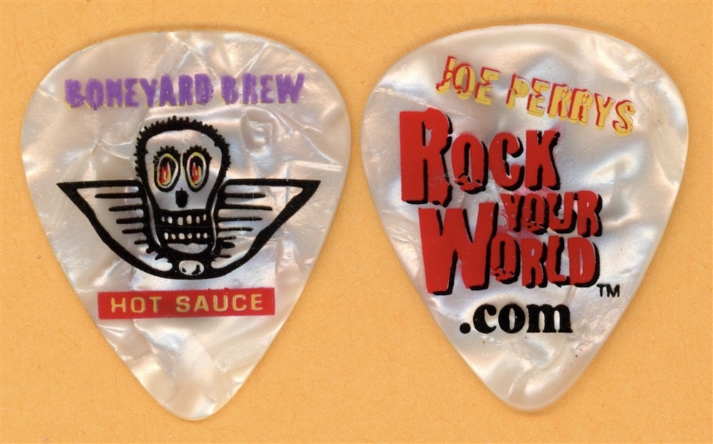 Aerosmith Joe Perry Vintage Guitar Pick - 2001 Boneyard Tour | Autographia