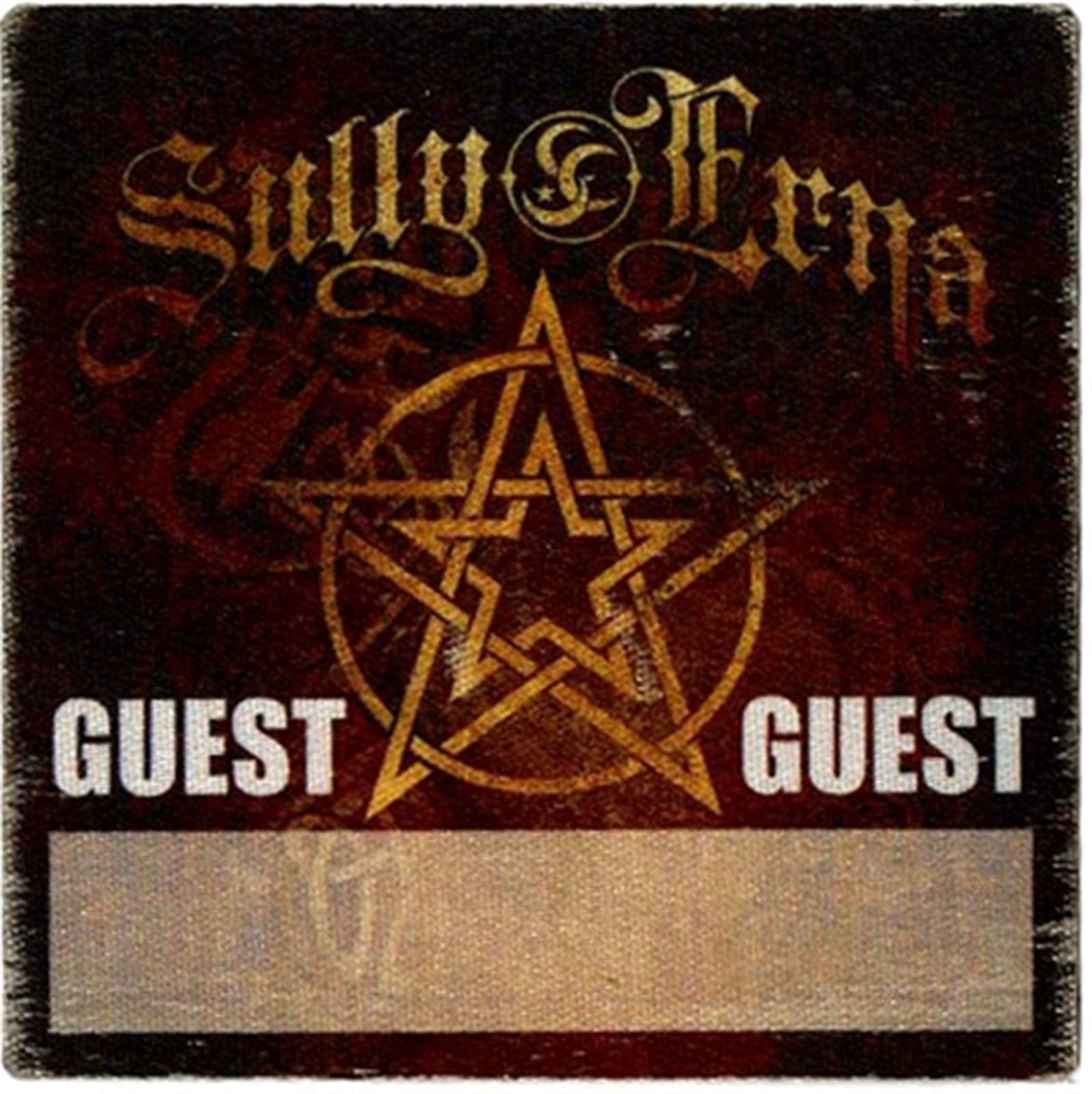 Sully Erna 2010 Avalon Concert Tour Band Guest Backstage Pass | Autographia