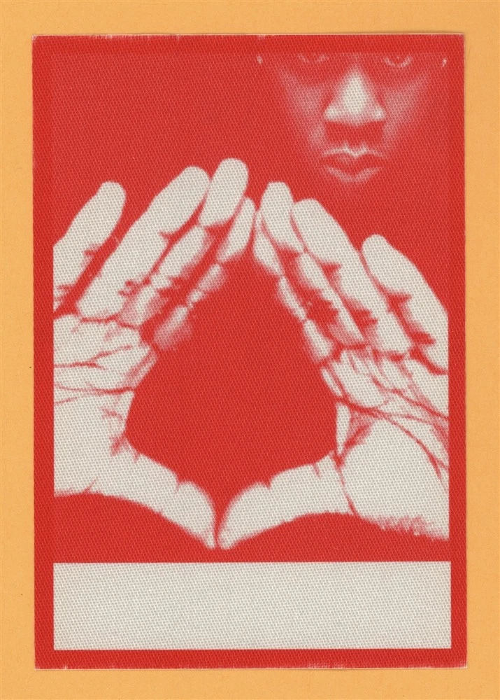 Jay Z 2000 The Dynasty Concert Tour ALL ACCESS Backstage Pass | Autographia