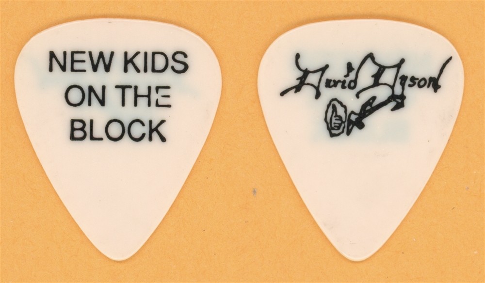 New Kids on The Block David Dyson Vintage Guitar Pick - 1988 Hangin ...