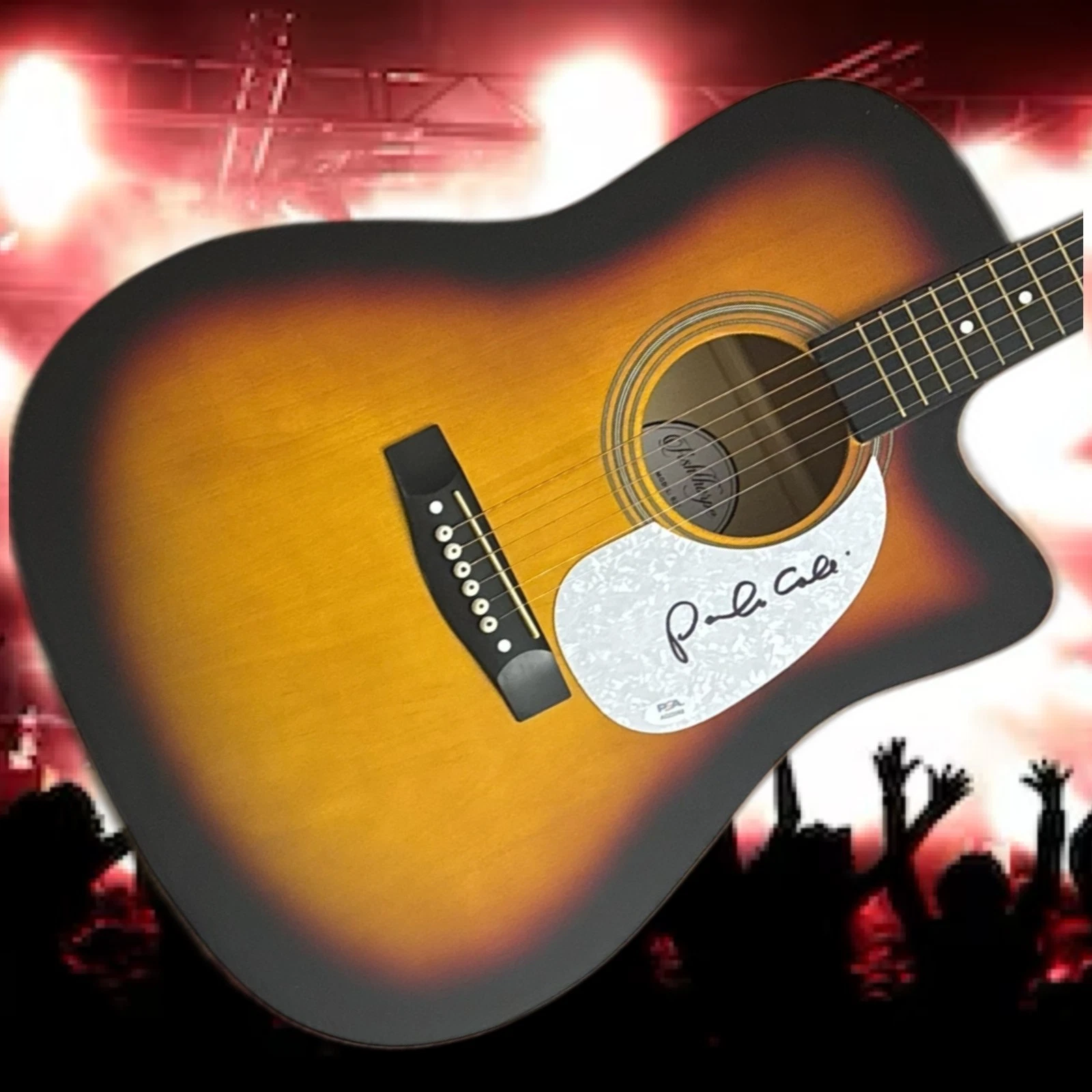 PSA I Don't Want to Wait * PAULA COLE * Signed 41" Acoustic Guitar ...