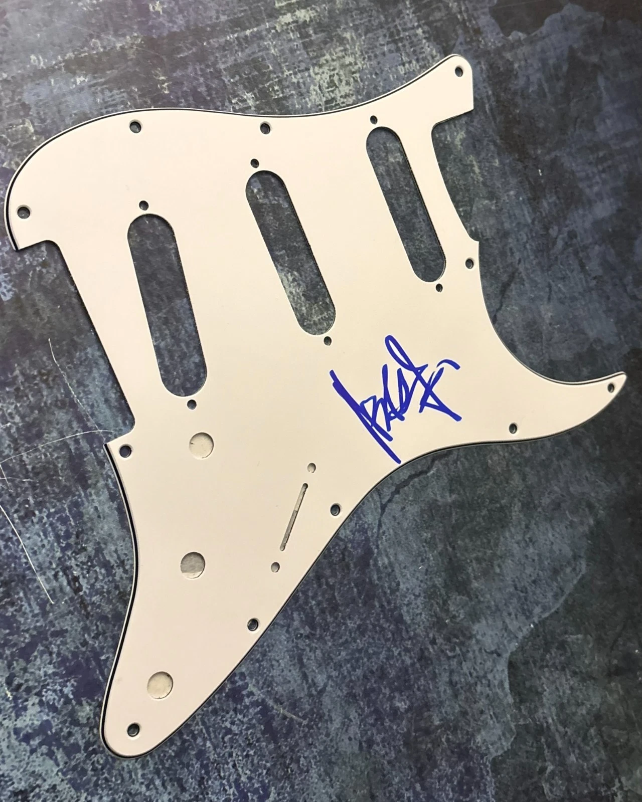 GFA Behemoth Rock Star * ADAM DARSKI * Signed Electric Pickguard AD1 ...