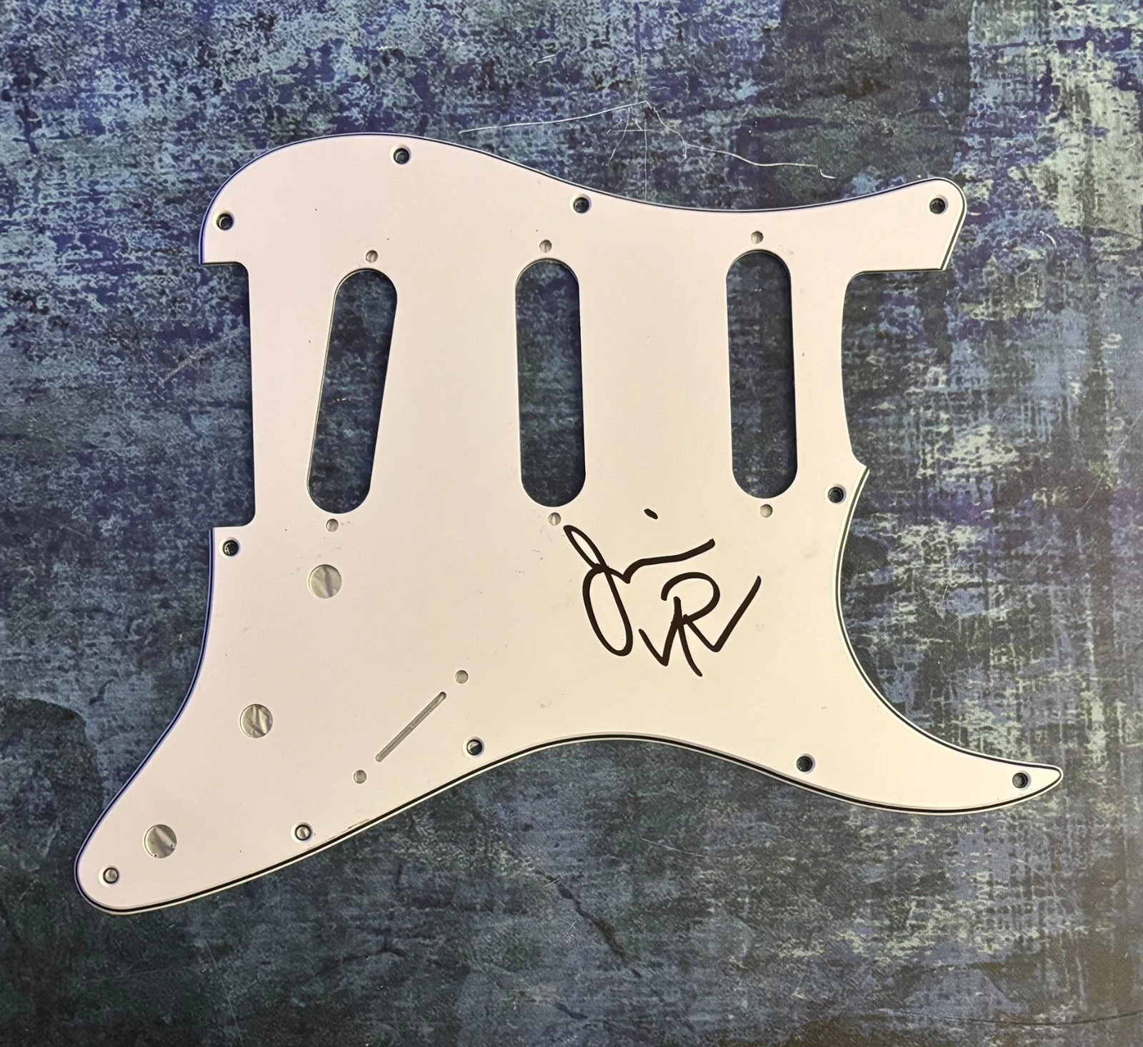GFA Pennywise Band Singer * JIM LINDBERG * Signed Electric Pickguard ...
