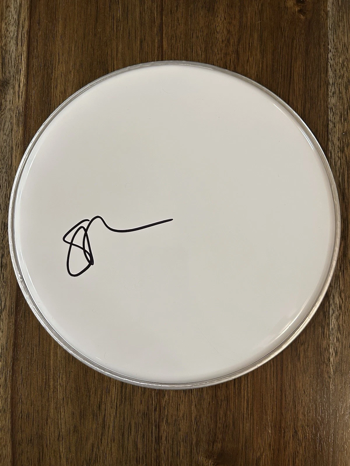 Steve Gorman ‘The Black Crowes’ Drummer Signed White 10” Drumhead ...