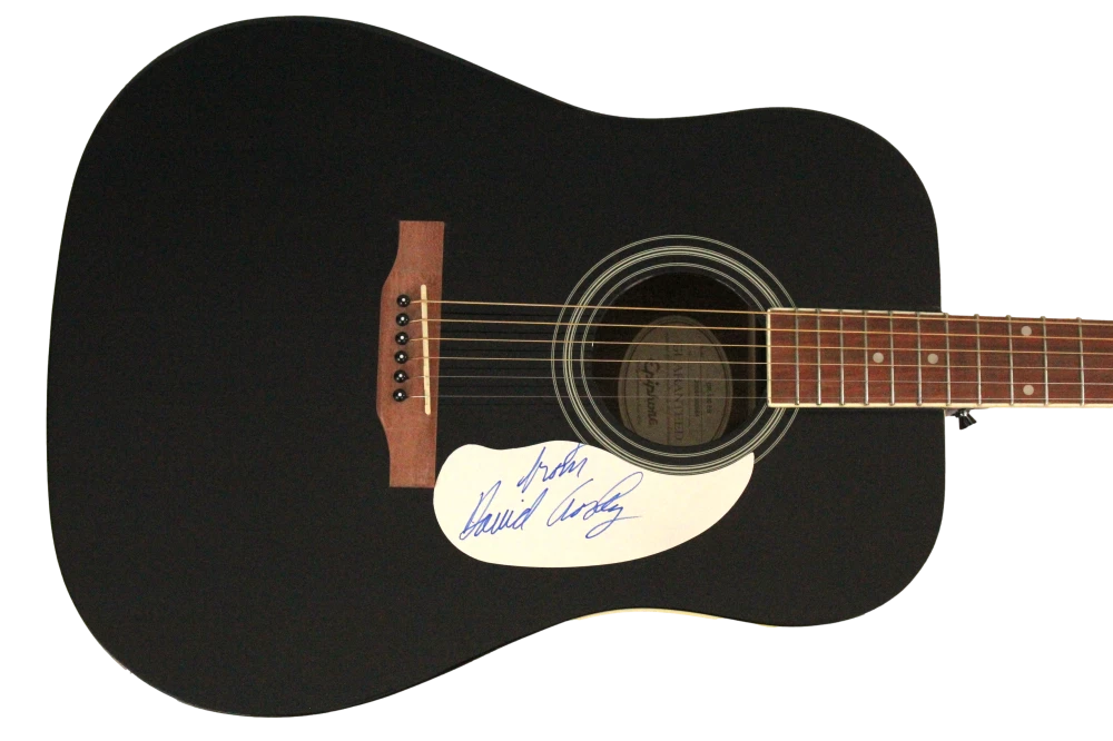 David Crosby CSNY Signed Autograph Gibson Epiphone Acoustic Guitar w ...