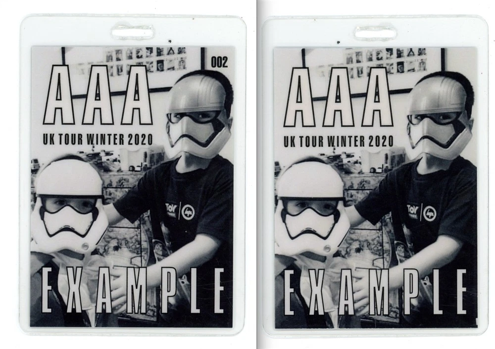 Example 2020 Rap AAA Laminated Backstage Pass | Autographia