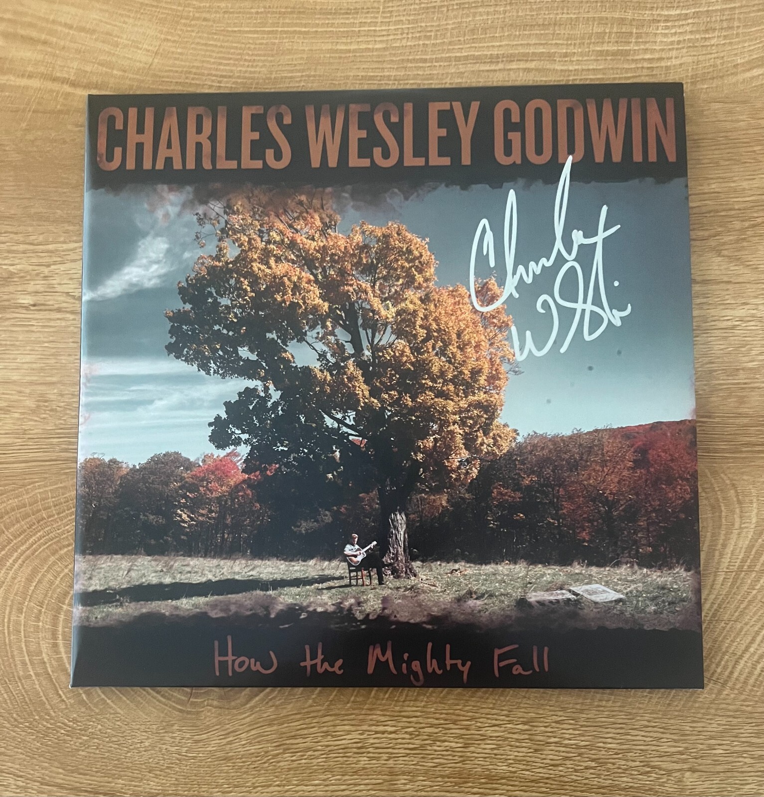 * CHARLES WESLEY GODWIN * signed vinyl album * HOW THE MIGHTY FALL * 2 ...